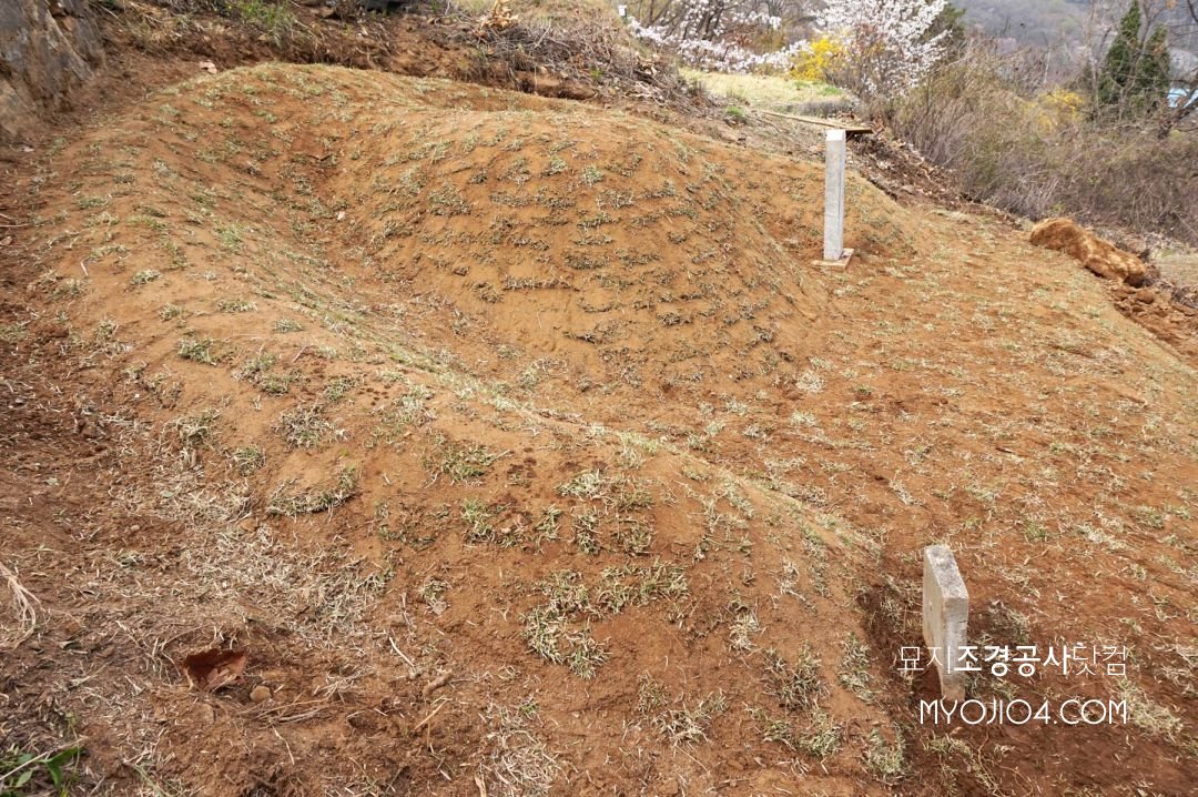어마무시한 큰돌을 캐낸 벽제묘지 2구역 김영o님 산소 사초작업 후의 모습입니다 용미리제1묘지 용미리제2묘지 벽제리묘지 묘지이장 파묘 묘지개장 묘지화장 파주시묘지이장