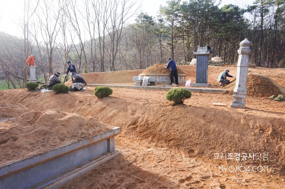 파주시 월롱면 도내리 함양박씨 문중묘역에 사초 잔디입히기 작업 첫번째 날입니다 용미리제1묘지 용미리제2묘지 벽제리묘지 묘지이장 파묘 묘지개장 묘지화장 파주시묘지이장