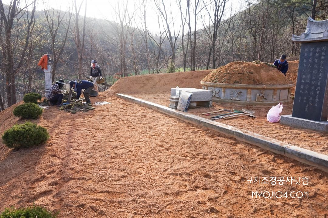 경기도 파주시 도내리 함양박씨 종중묘역에 사초 잔디작업 두번째 날입니다 용미리제1묘지 용미리제2묘지 벽제리묘지 묘지이장 파묘 묘지개장 묘지화장 파주시묘지이장