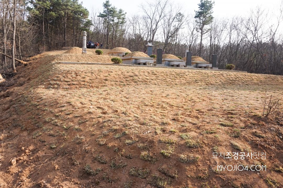 경기도 파주시 월롱면 도내리 함양박씨 문중산소의 잔디입히기 사초작업 완료 후 모습입니다 용미리제1묘지 용미리제2묘지 벽제리묘지 묘지이장 파묘 묘지개장 묘지화장