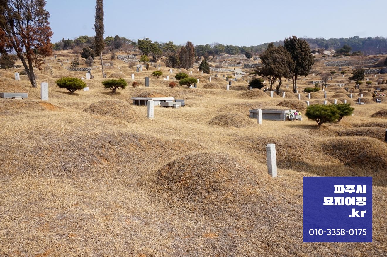 고양시 일산동구 고봉동 자하연일산공원묘지구 국제공원묘원에서 매장 40년된 부친묘 묘지개장 후 화장해서 산소정리 용미리제1묘지 용미리제2묘지 벽제리묘지 묘지이장 파묘